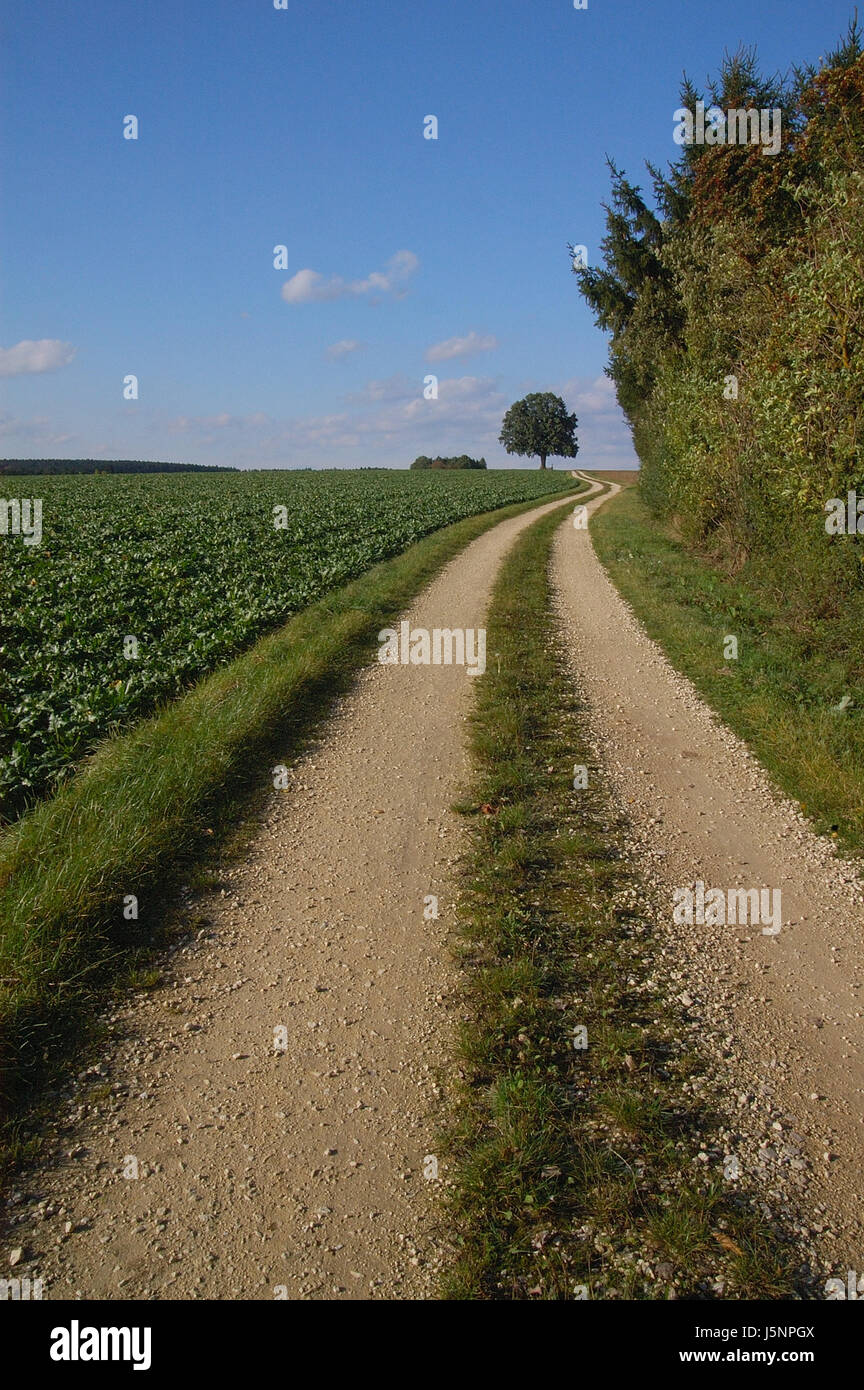 blue tree agriculture farming dirt road field clump of trees oak acre ...