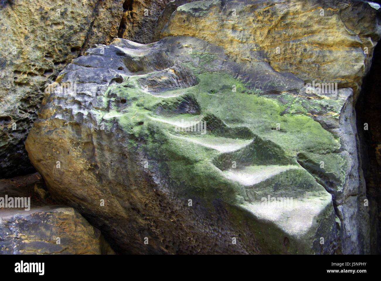 stairs tree stone hike go hiking ramble switzerland rock sandstone ...