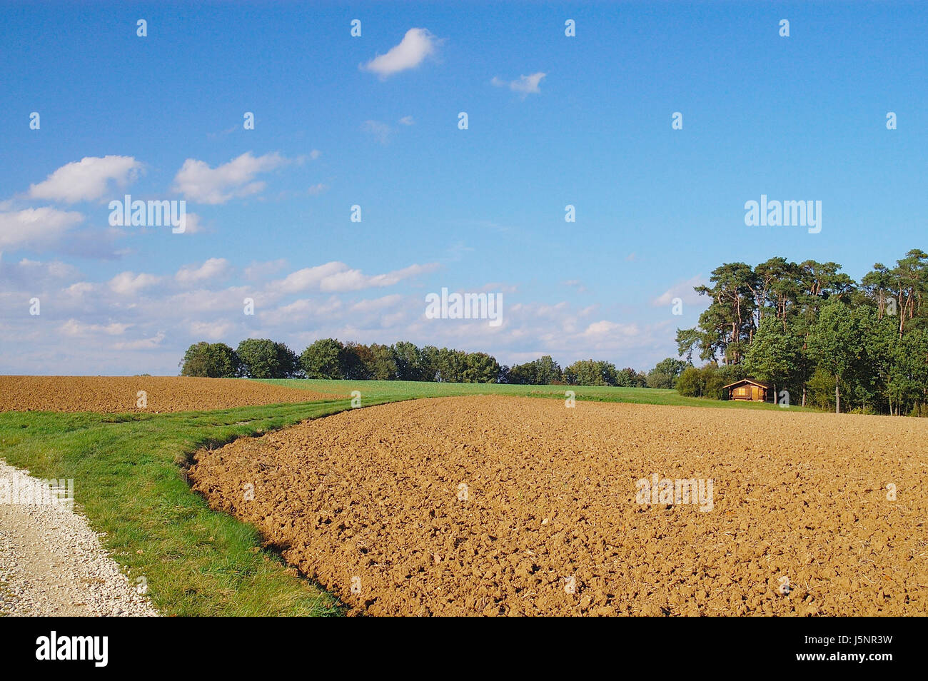blue tree agriculture farming dirt road field clump of trees oak acre ...