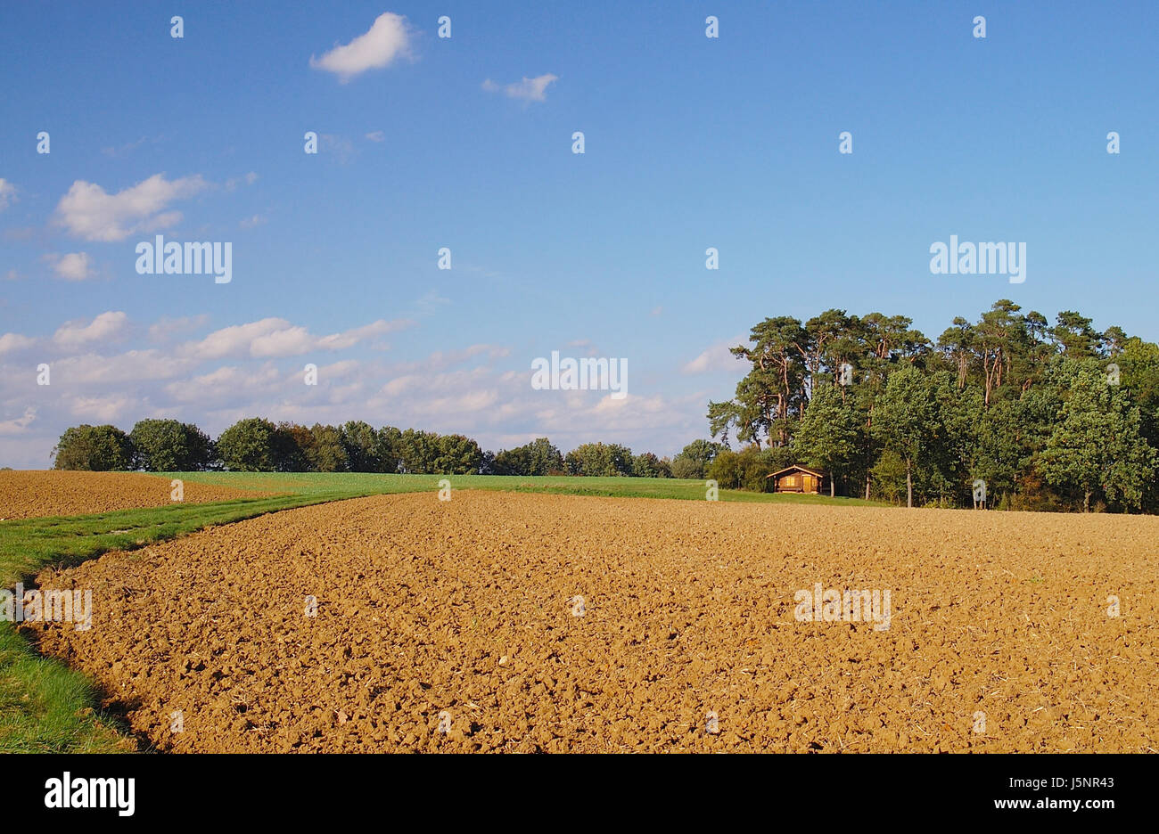 blue tree agriculture farming dirt road field clump of trees oak acre ...