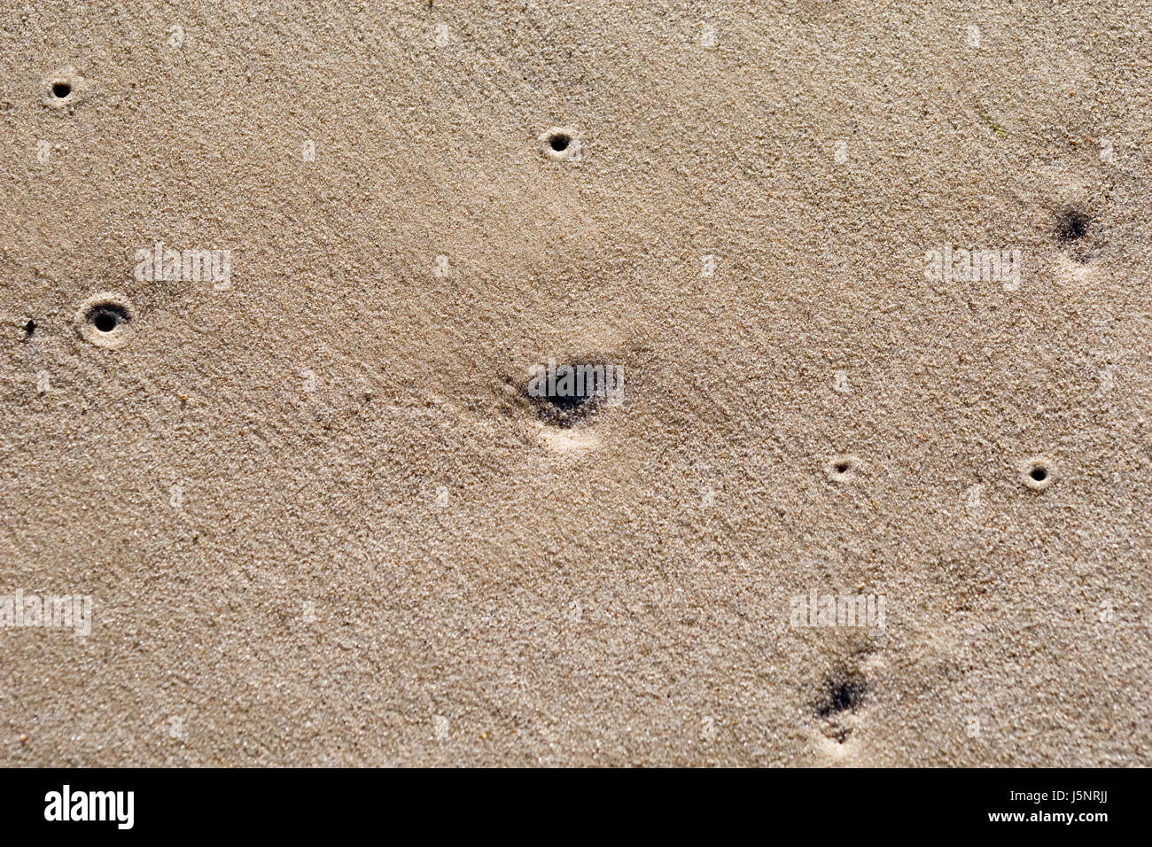Line of holes hi-res stock photography and images - Alamy