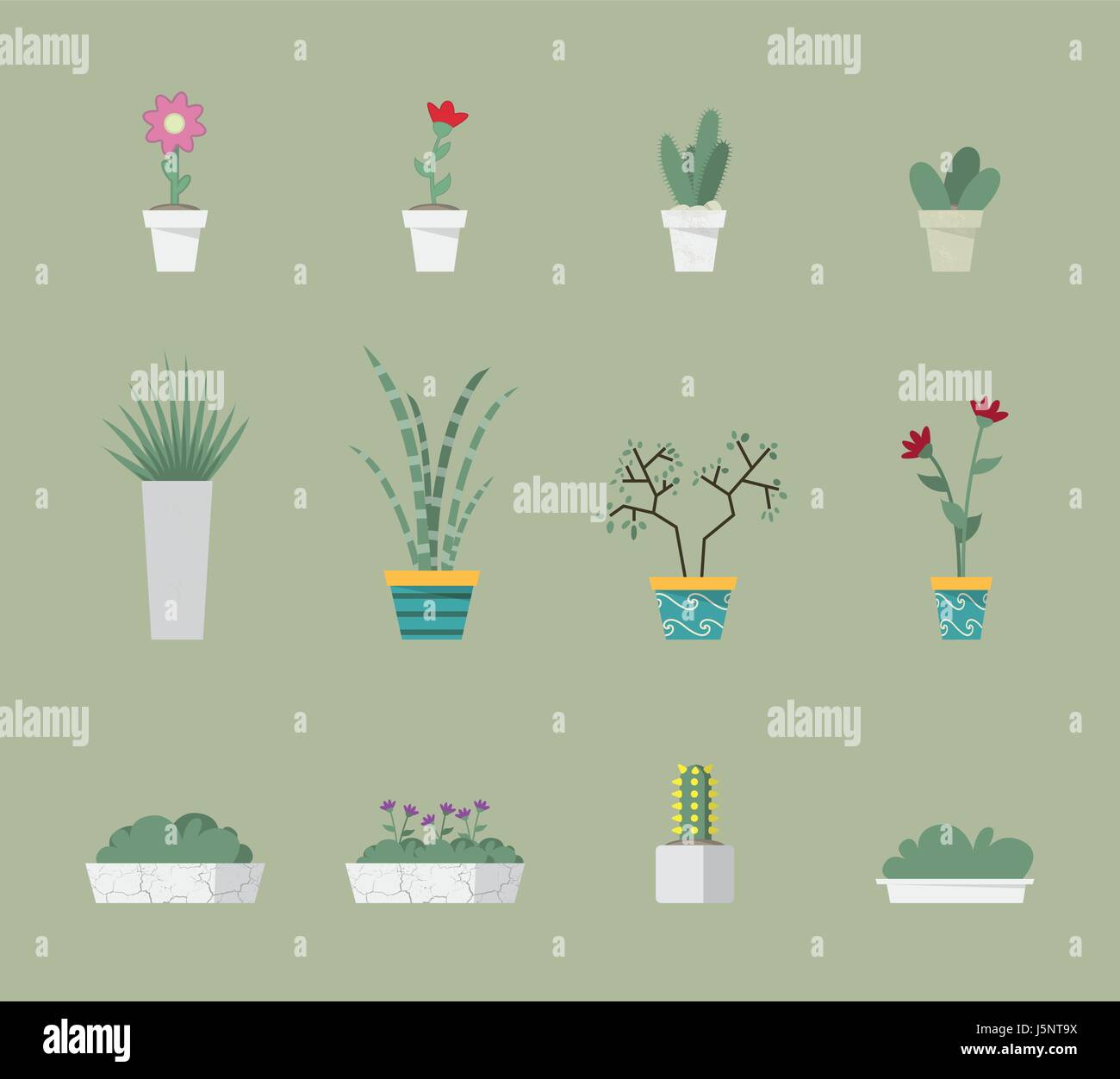 Set of different plants Stock Vector Image & Art - Alamy