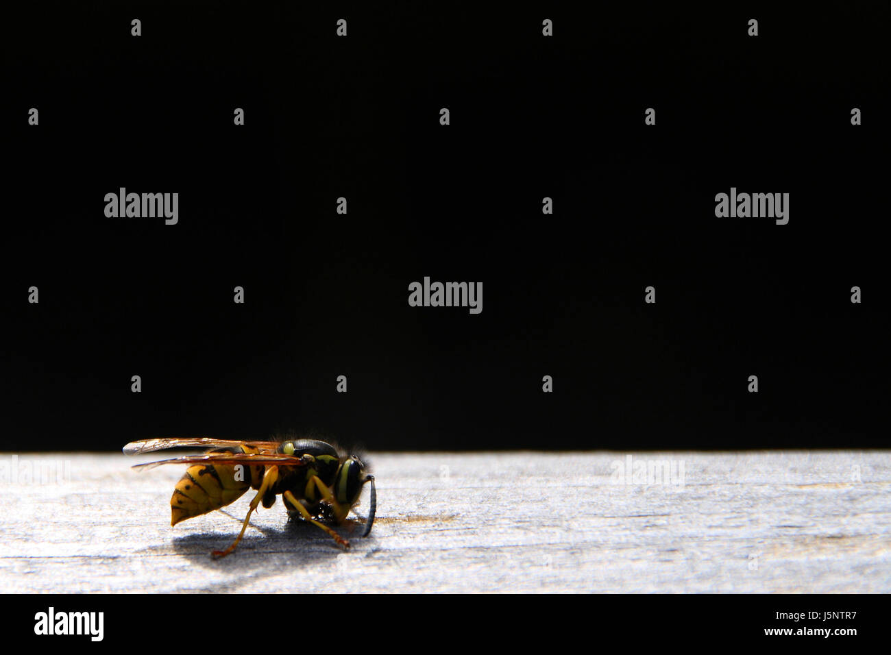 on material search Stock Photo - Alamy