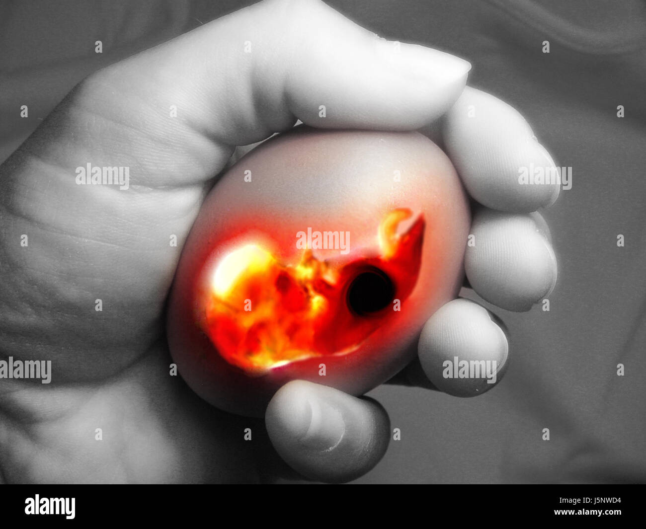 a small fetus Stock Photo - Alamy