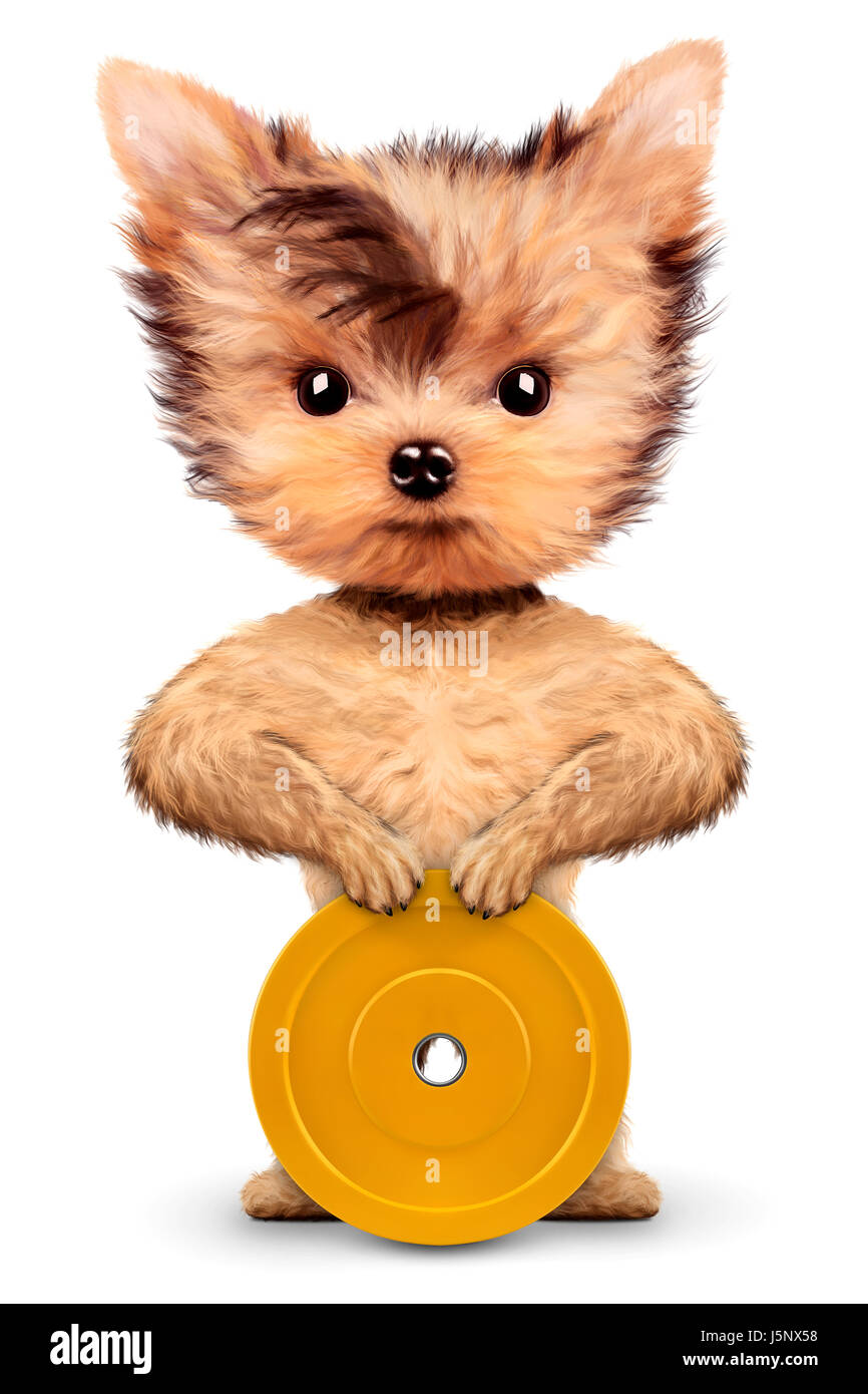 Barbell beach Cut Out Stock Images & Pictures - Alamy