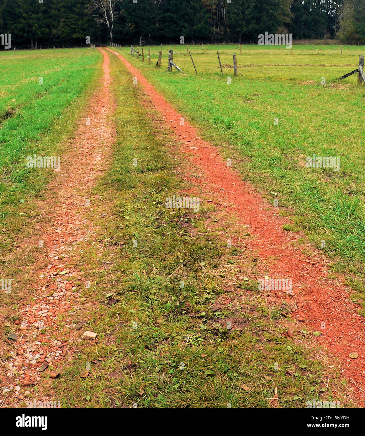 hike go hiking ramble meadows walk ways path way scenery countryside ...