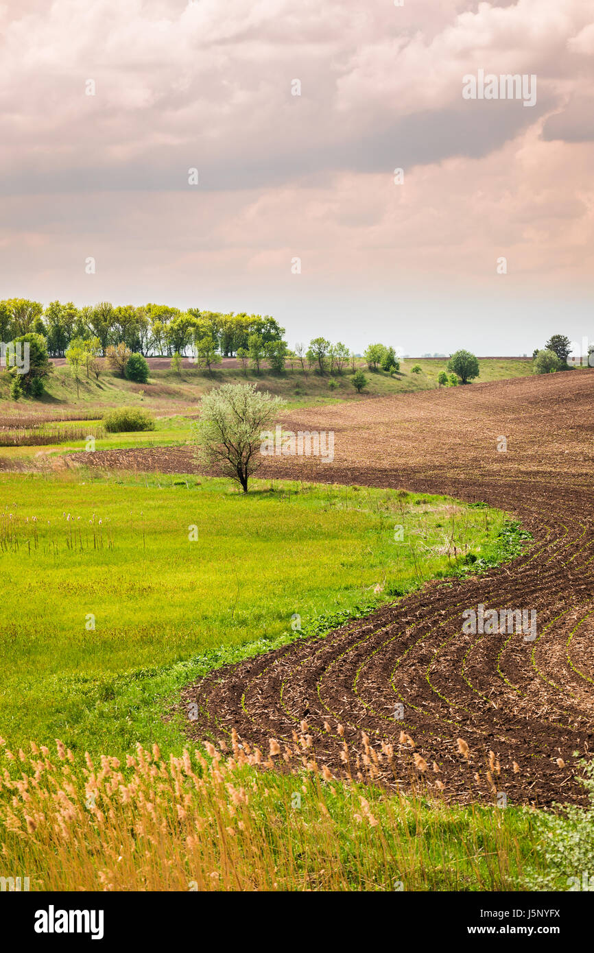 Beautiful Ukrainian landscape with a spring field after planting Stock ...
