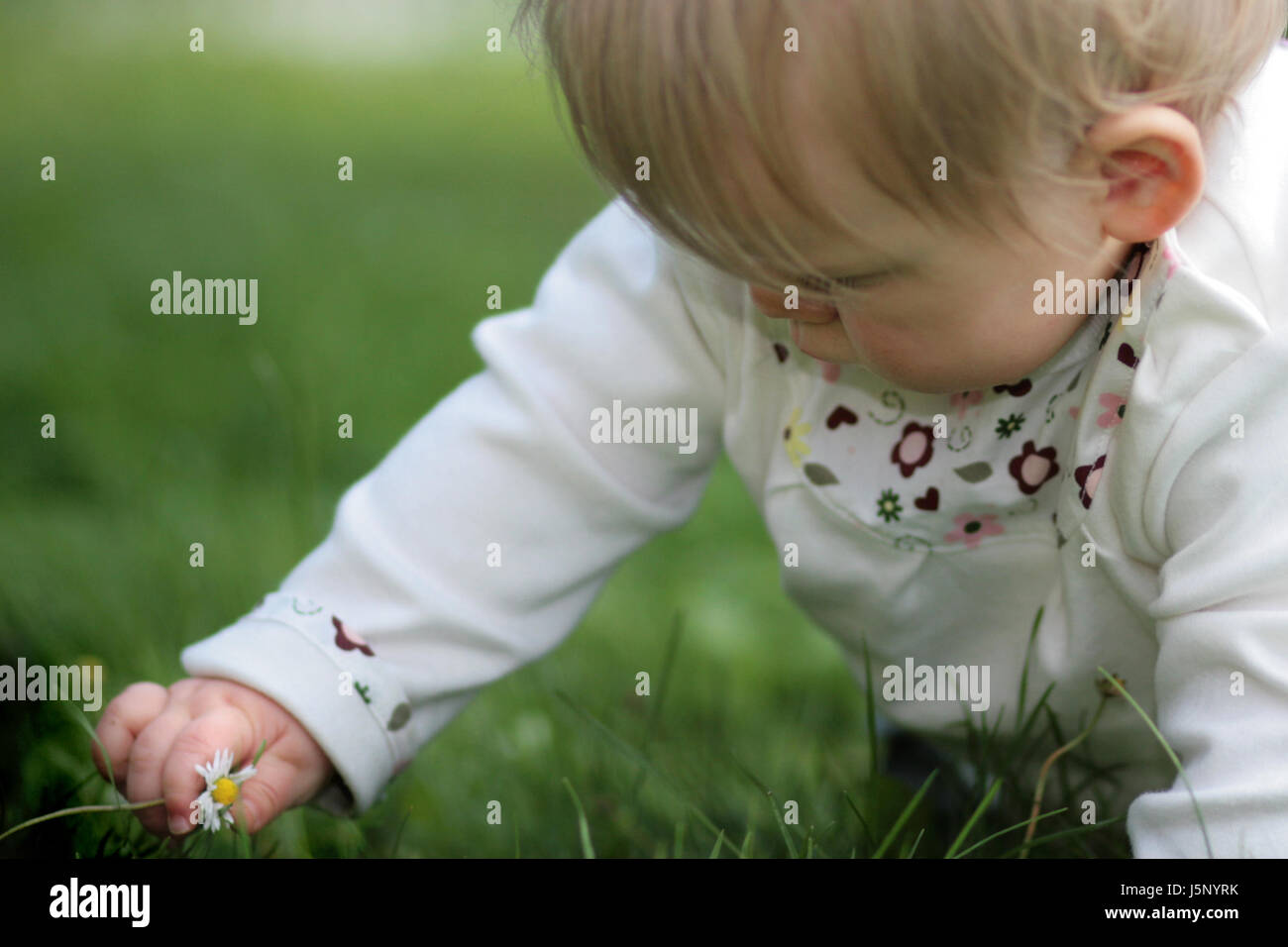 baby picking flowers Stock Photo - Alamy