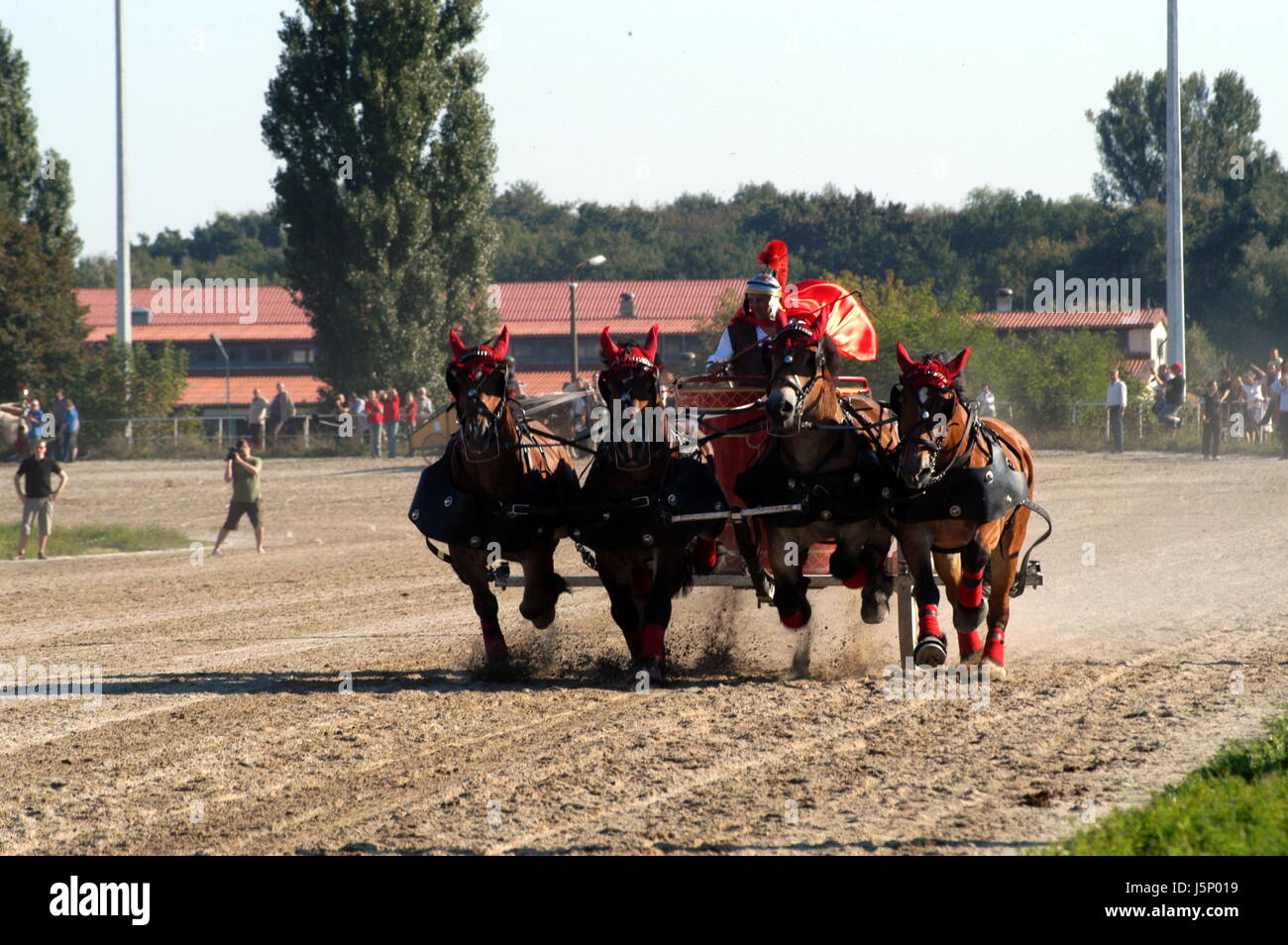 entertainment sport sports horse berlin racecourse gladiator event ...