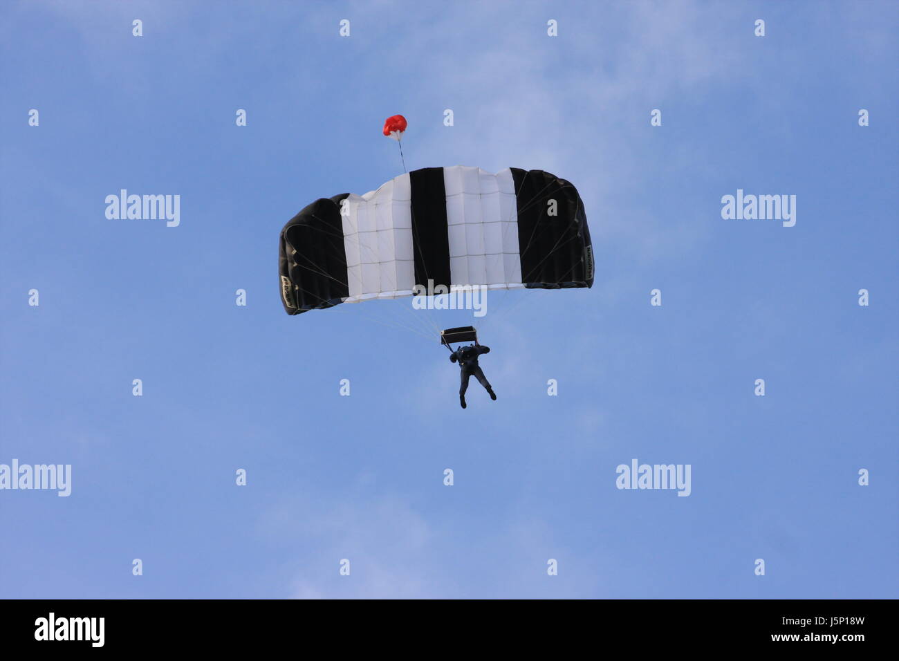 spring bouncing bounces hop skipping frisks jumping jump parachute ...