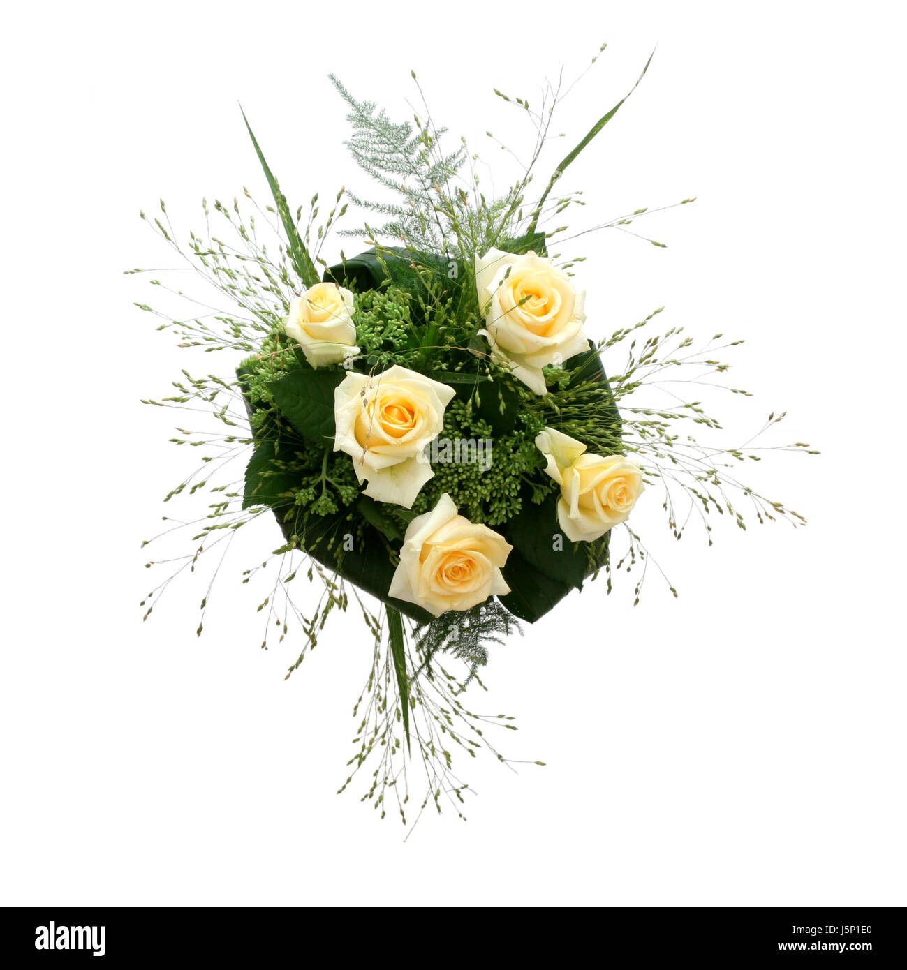 Rose Strauss High Resolution Stock Photography and Images - Alamy