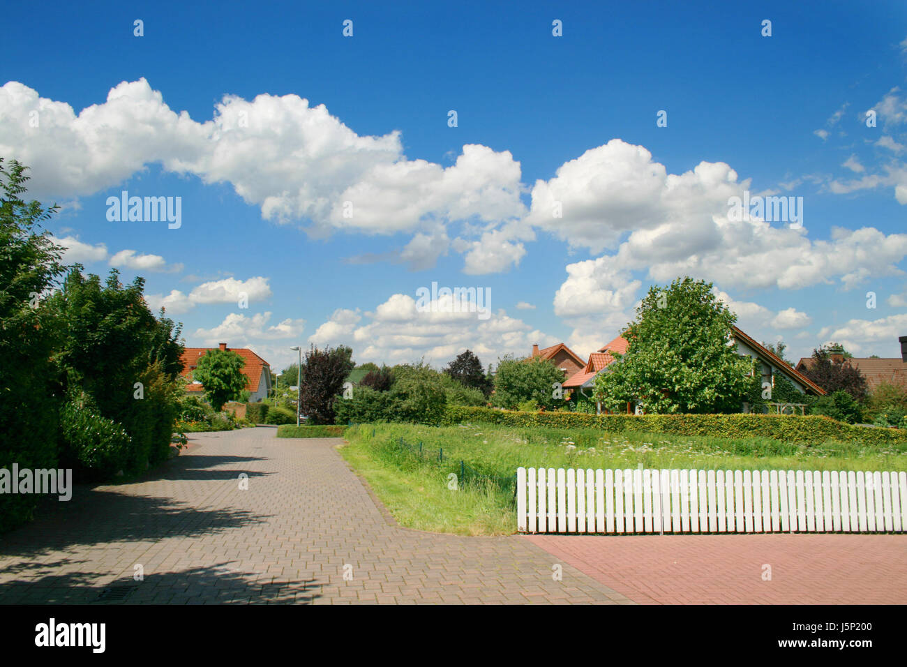 house building shine shines bright lucent light serene luminous leaf ...