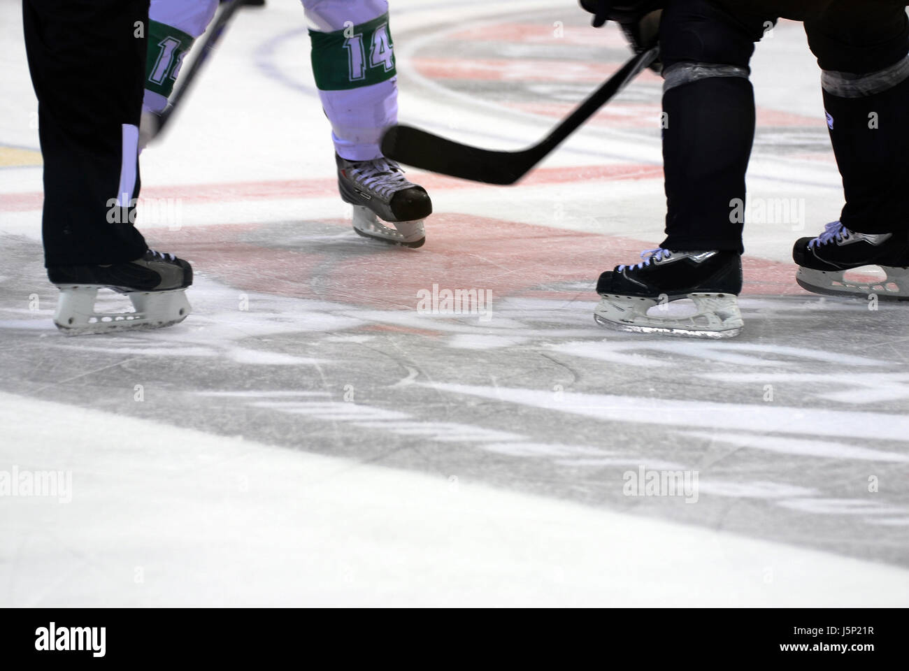 referee player rackets churl hit icehockey hockey players puck ...