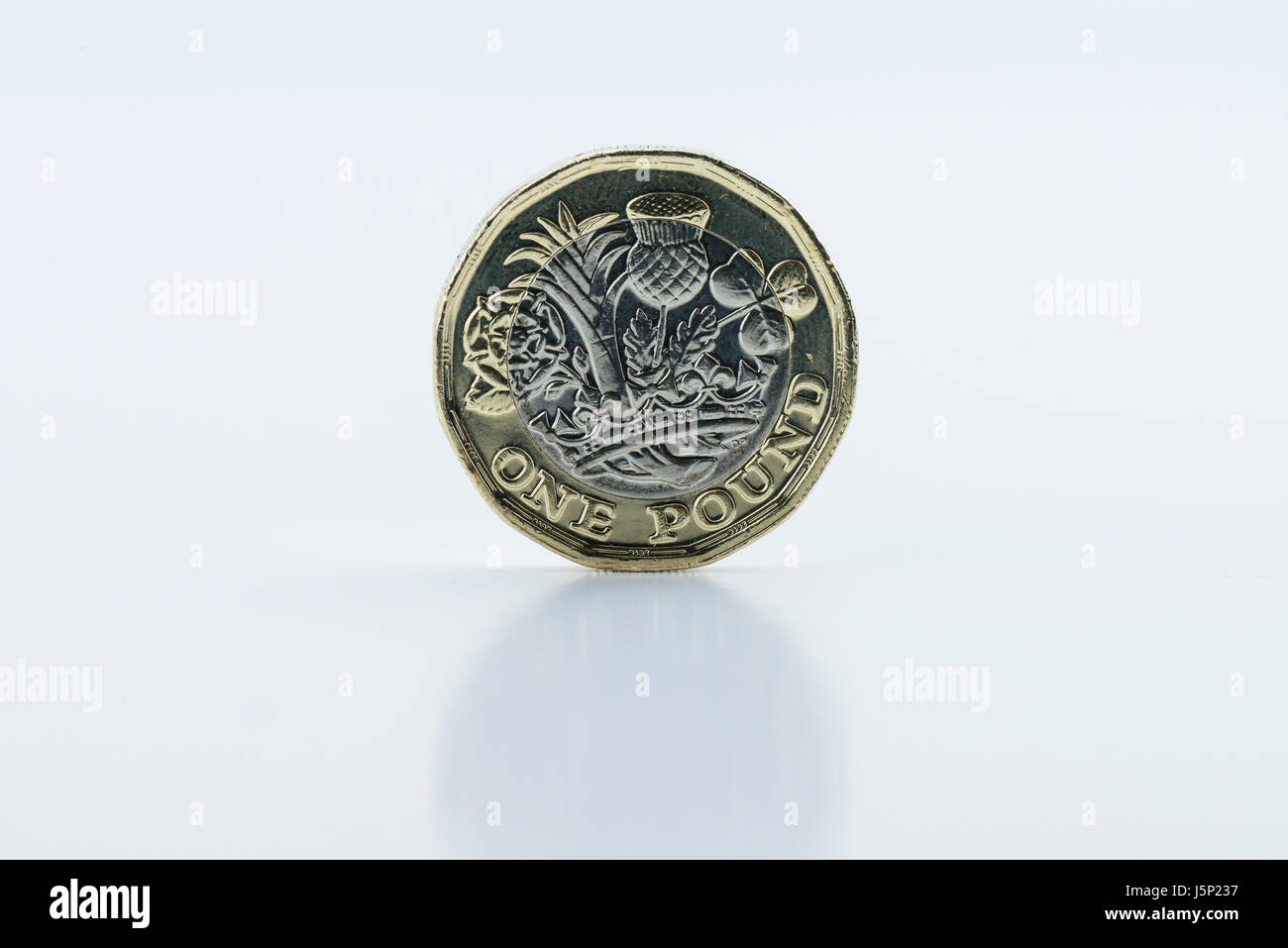 The reverse side of the new one pound coin Stock Photo - Alamy