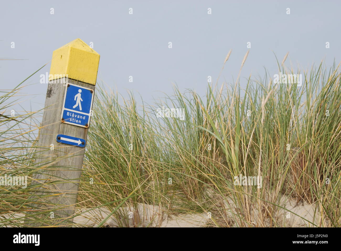 beach seaside the beach seashore denmark signpost beach grass sands ...