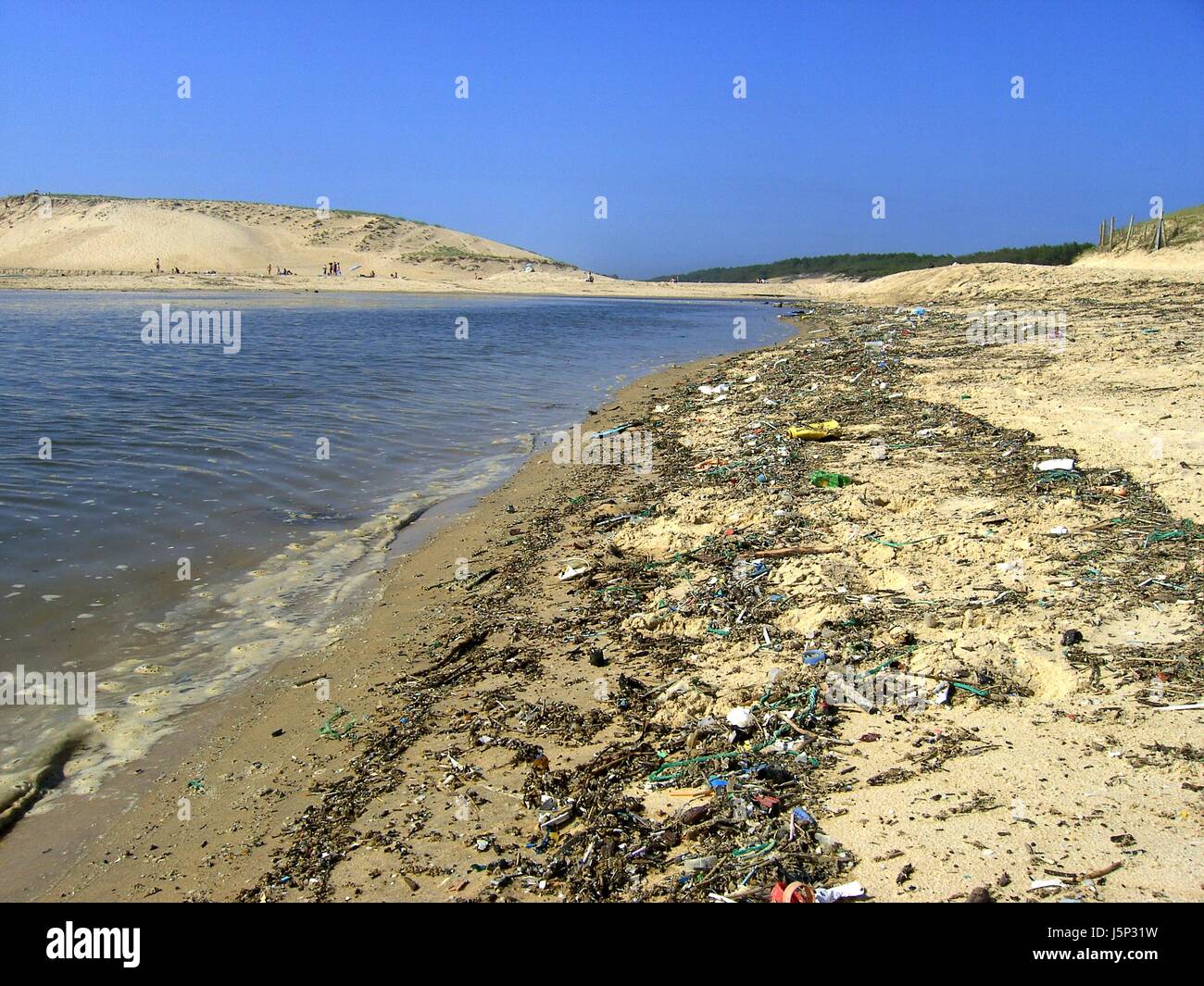 beach seaside the beach seashore atlantic ocean salt water sea ocean ...