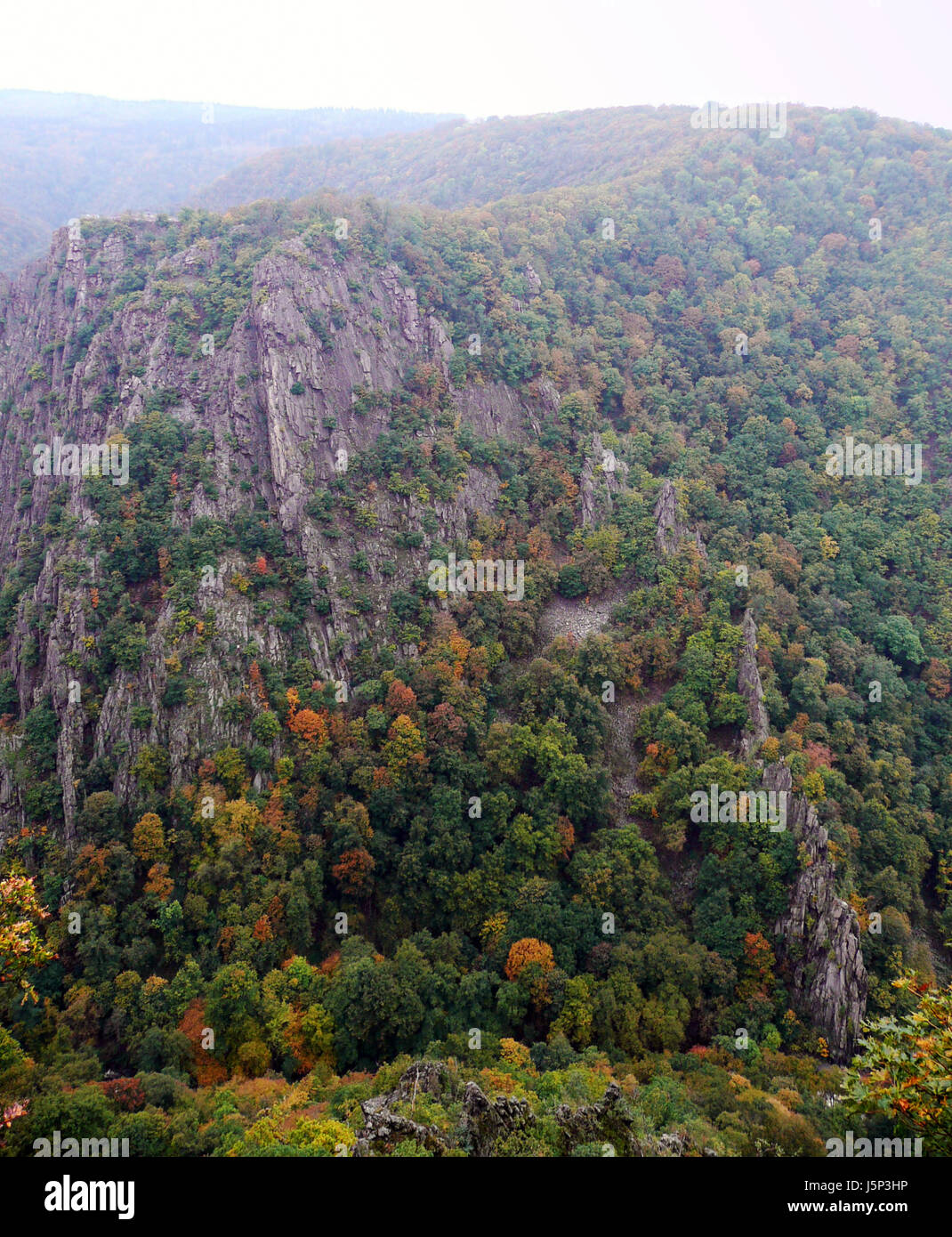 resin valley capped vertical comb mountain forest leaves foliage fall ...
