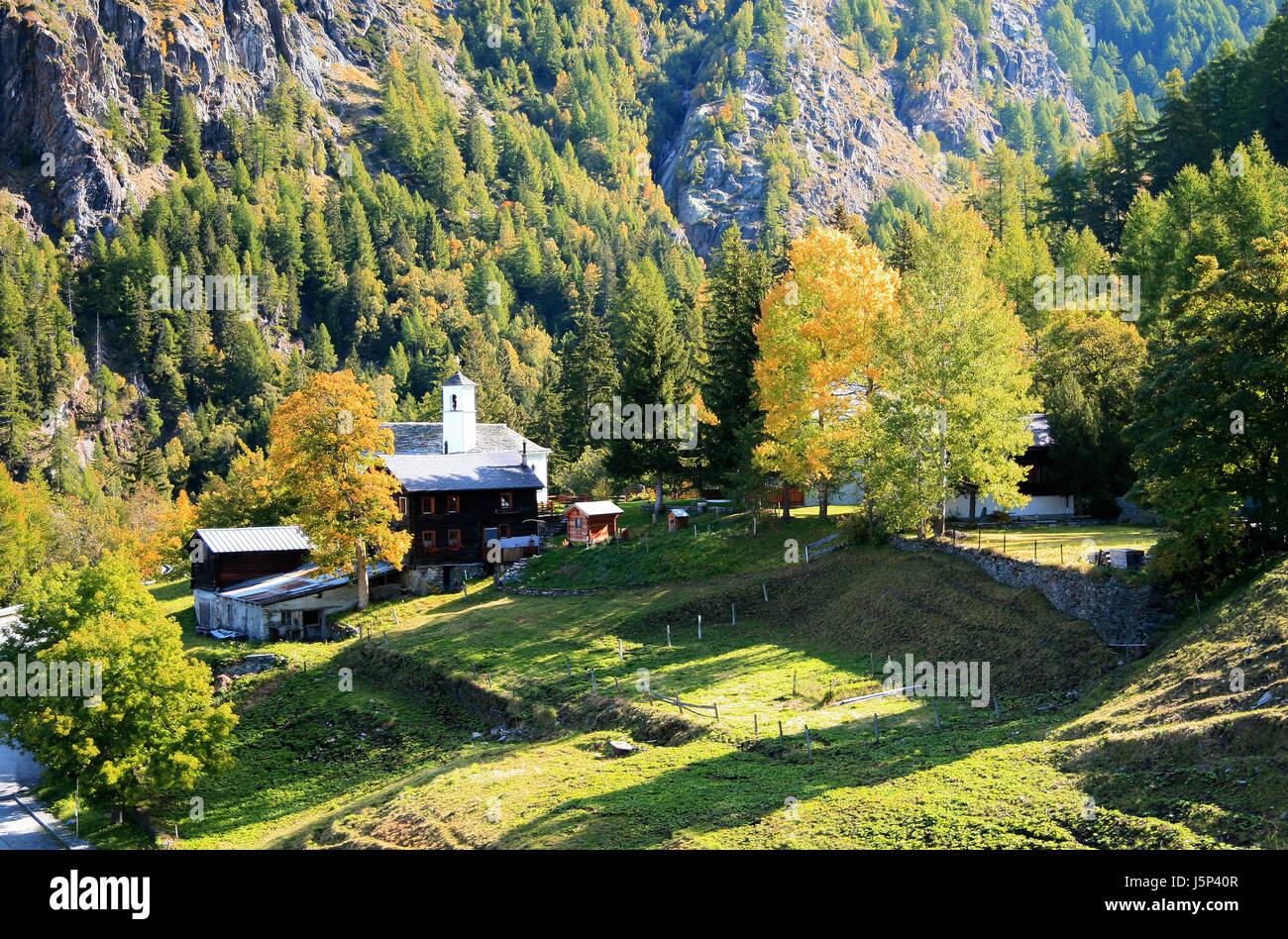blaze of color in the valais Stock Photo - Alamy