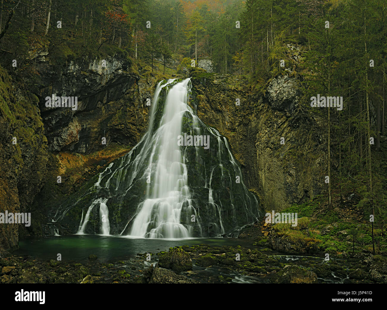 relaxation tree trees holiday vacation holidays vacations green cold ...