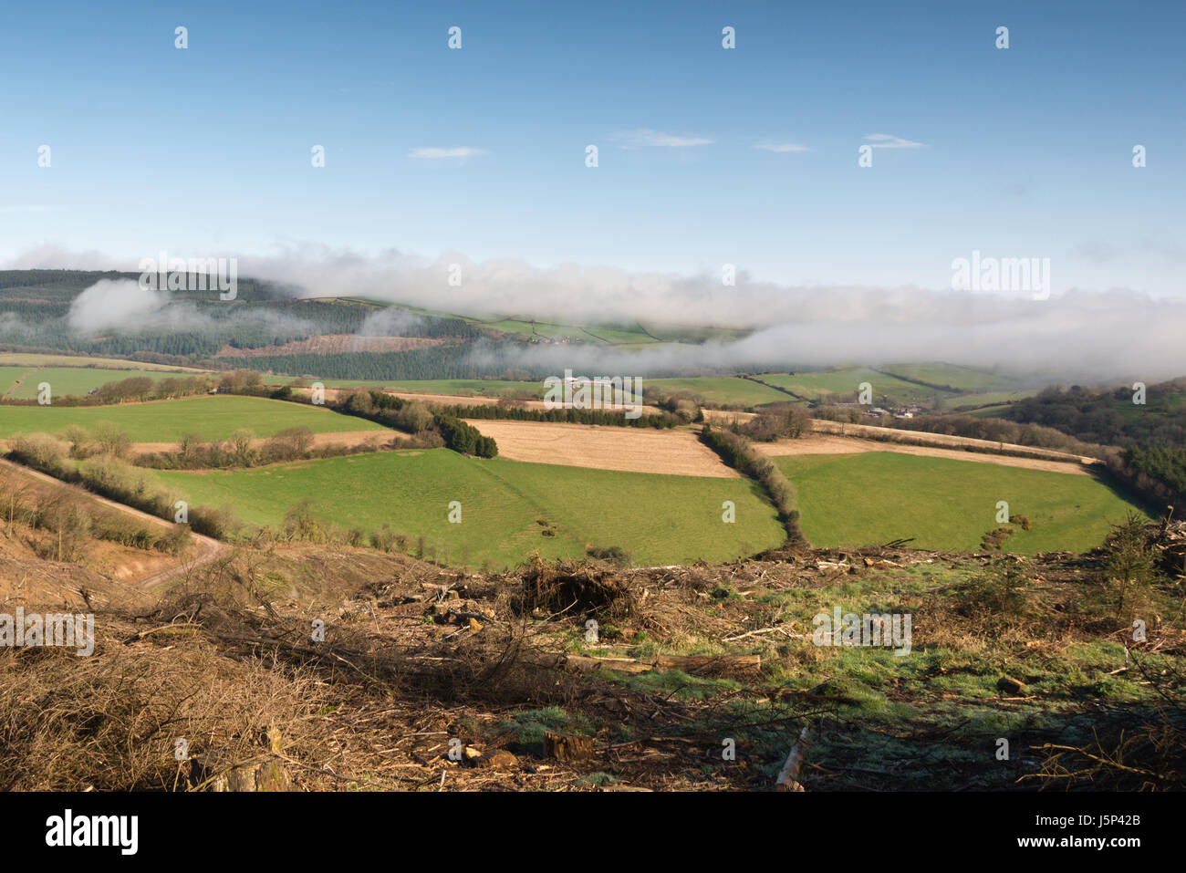 Mist and low cloud across the woods and forestry plantations on the ...