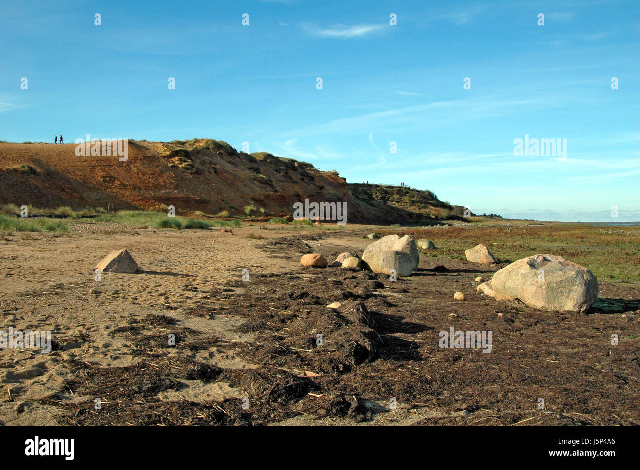 horizon plant beach seaside the beach seashore water north sea salt ...