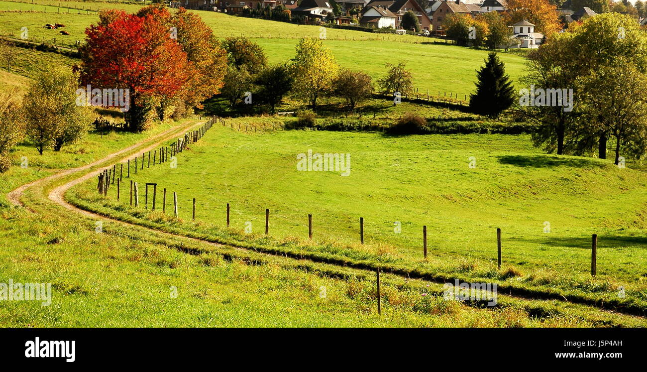 houses bucolic tree agriculture farming fence meadows shrub bush barbed ...