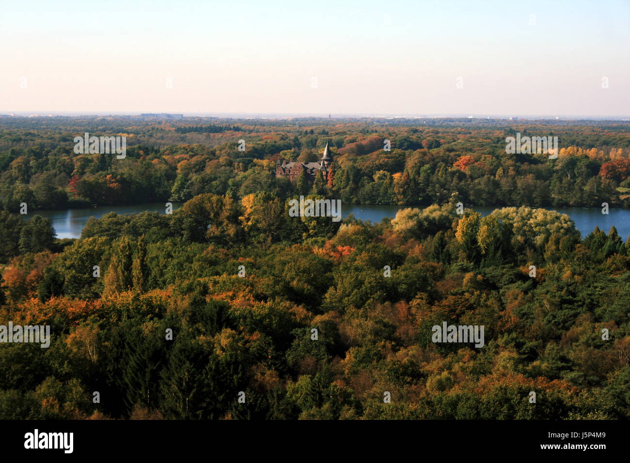 tree trees woods salt water sea ocean water forest fall autumn seen ...