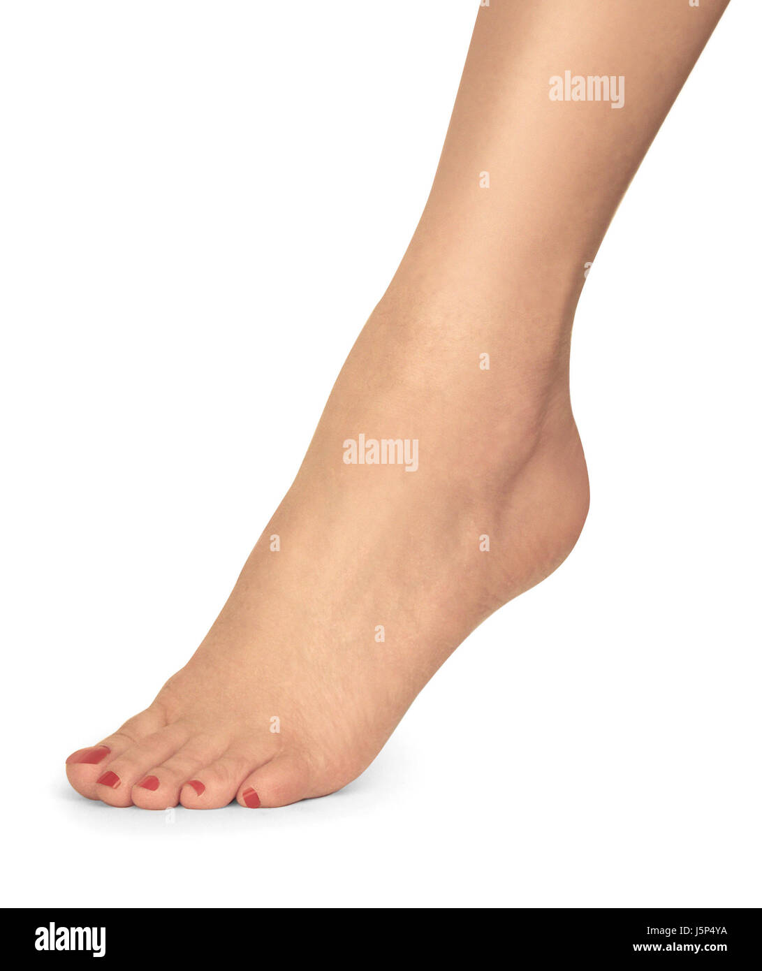 female toes sole below shin leg piece section segment part area human ...