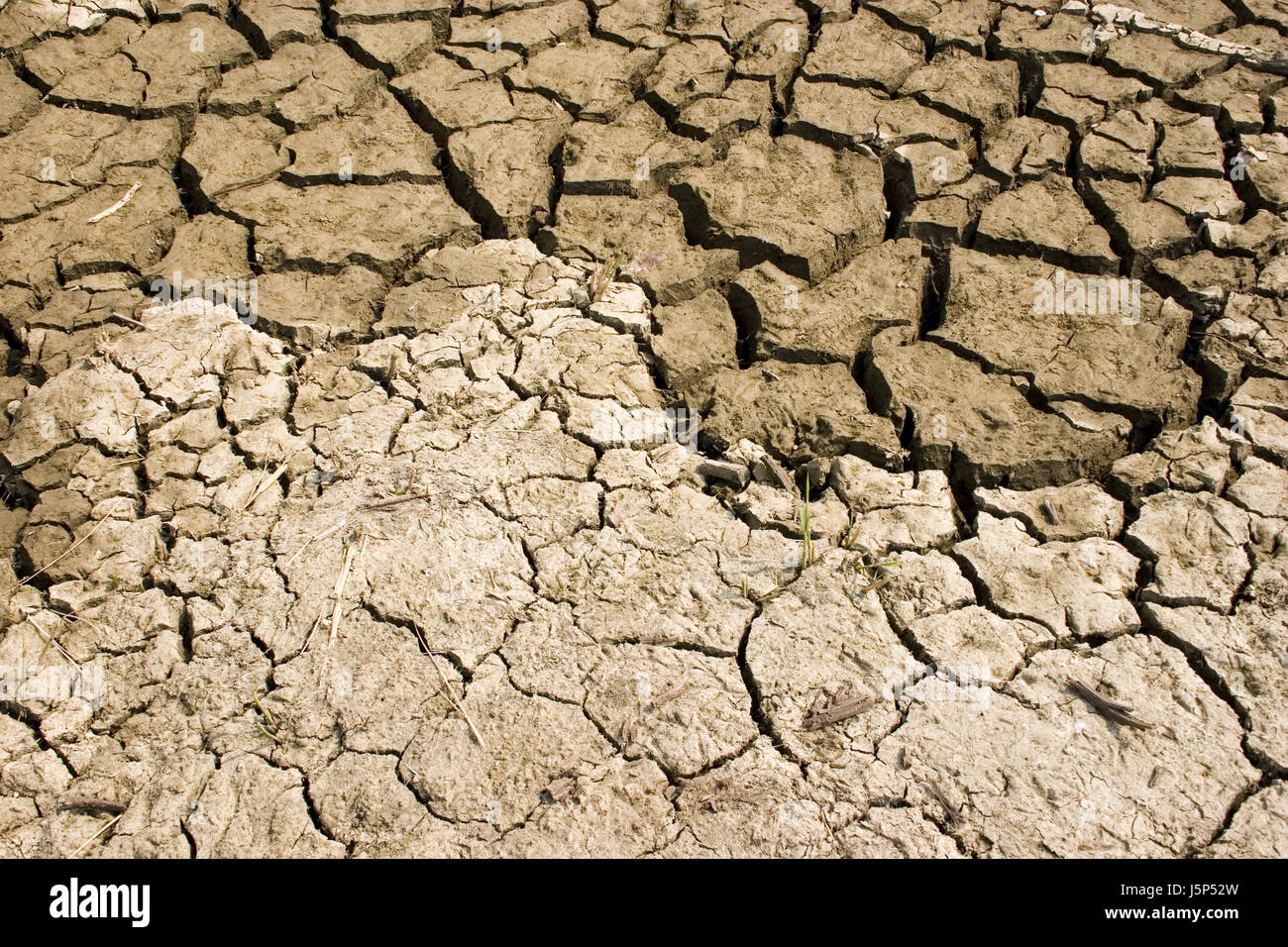 dryness crannies seared fissured cracked structure topsoil sparse ...