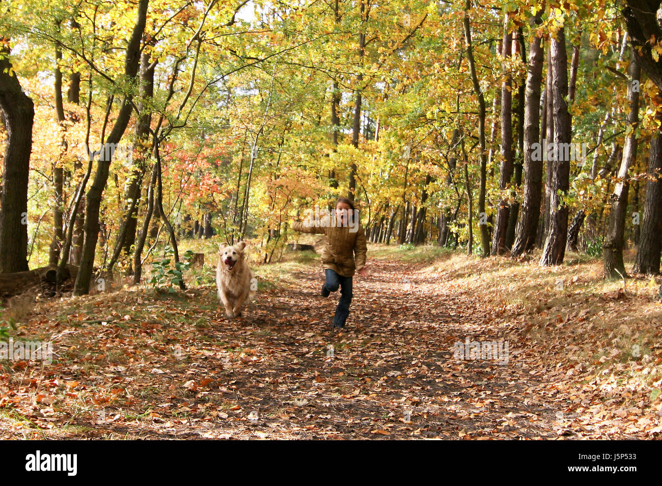 enjoy the autumn Stock Photo - Alamy