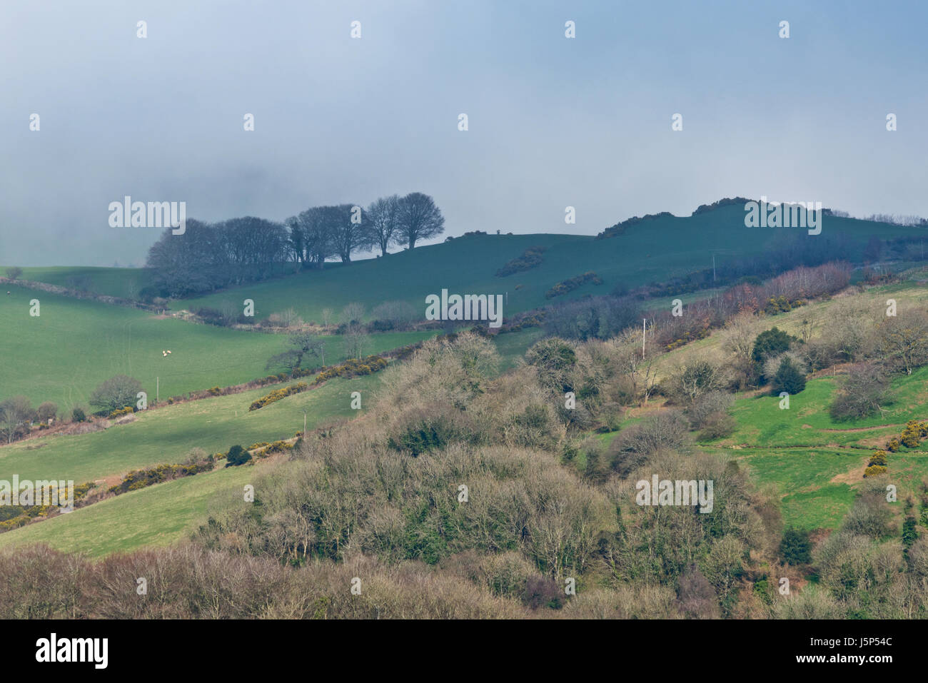 Mist and low cloud across the woods and forestry plantations on the ...