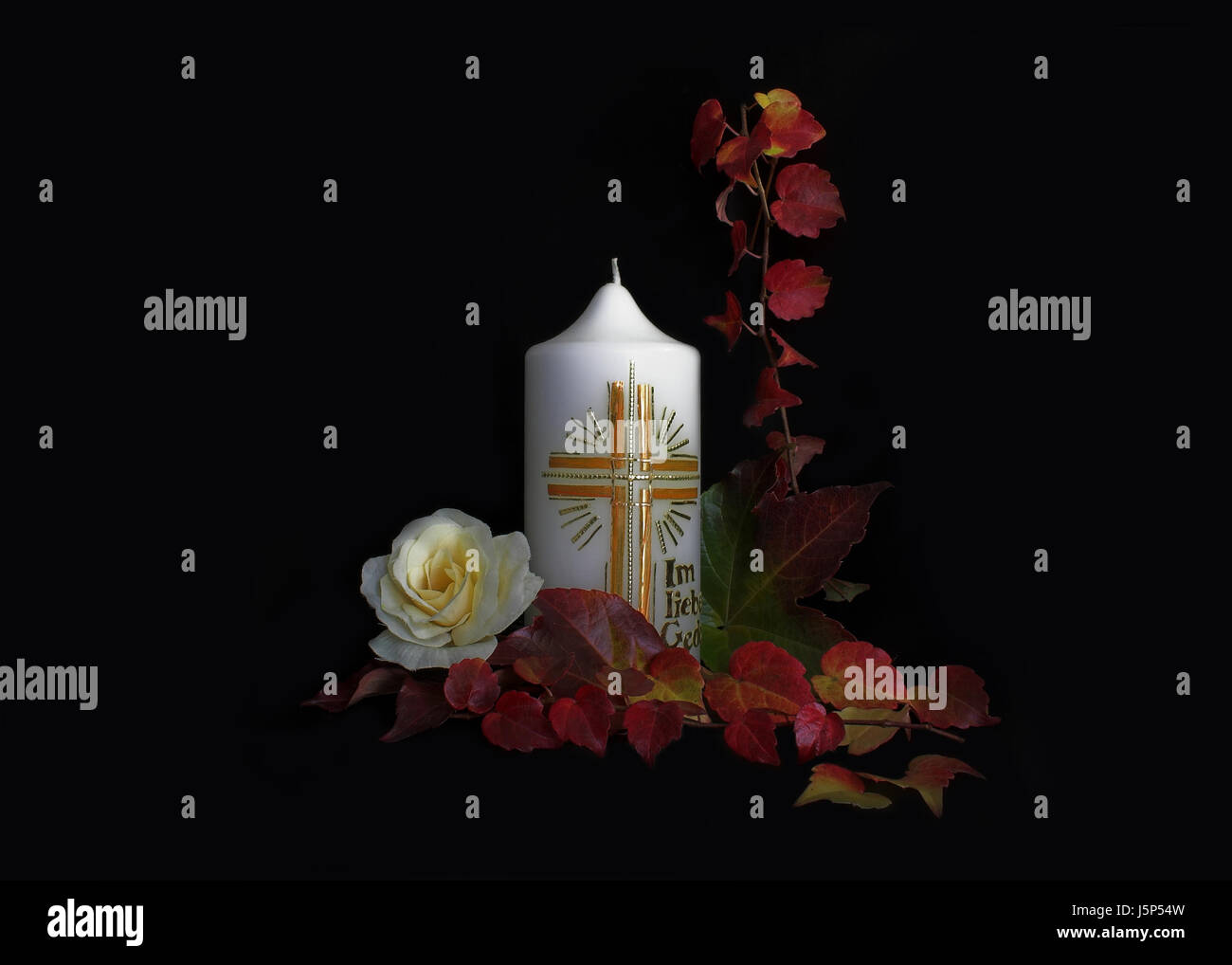 still life shine shines bright lucent light serene luminous leaf god ...