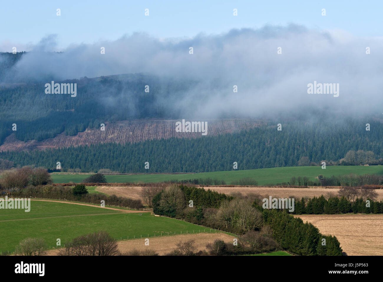Mist and low cloud across the woods and forestry plantations on the ...
