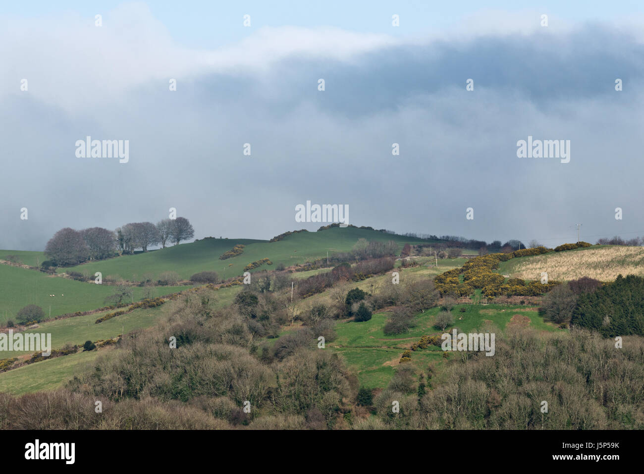 Mist and low cloud across the woods and forestry plantations on the ...