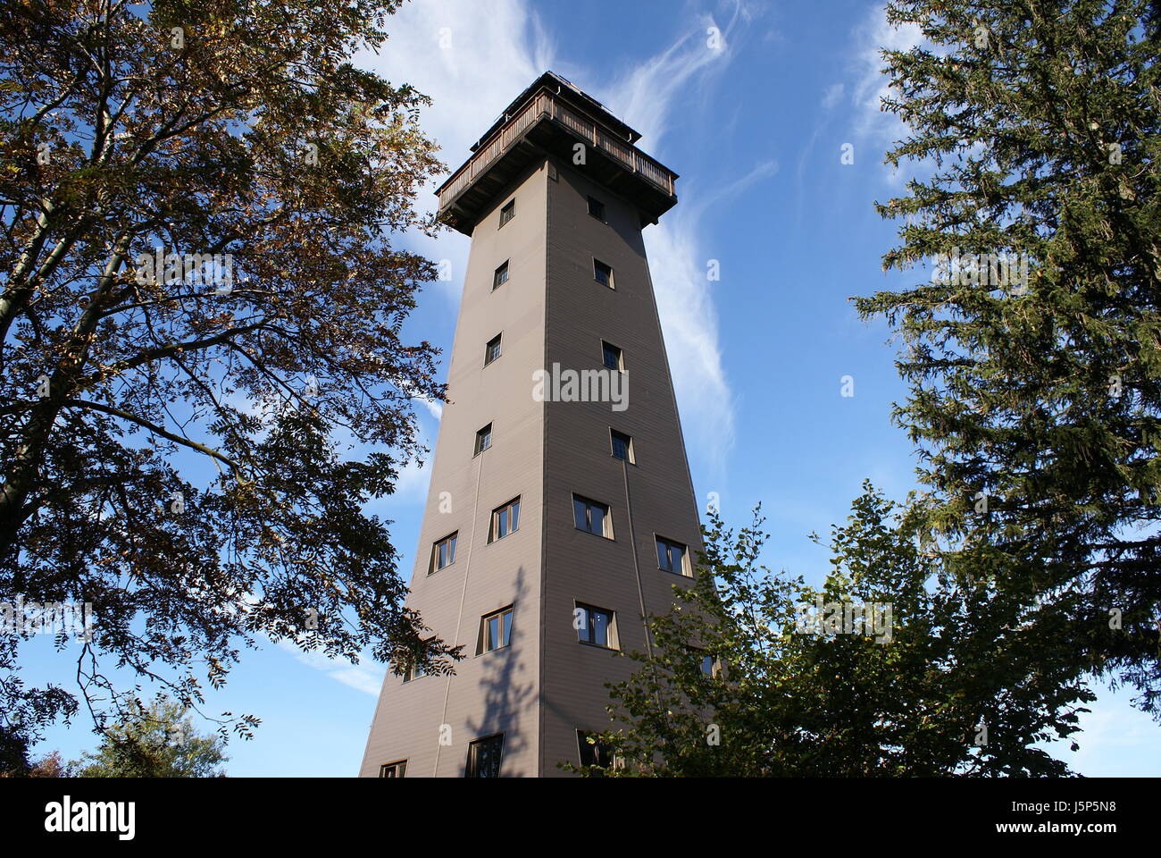 wait waiting tower tree window porthole dormer window pane belvedere ...