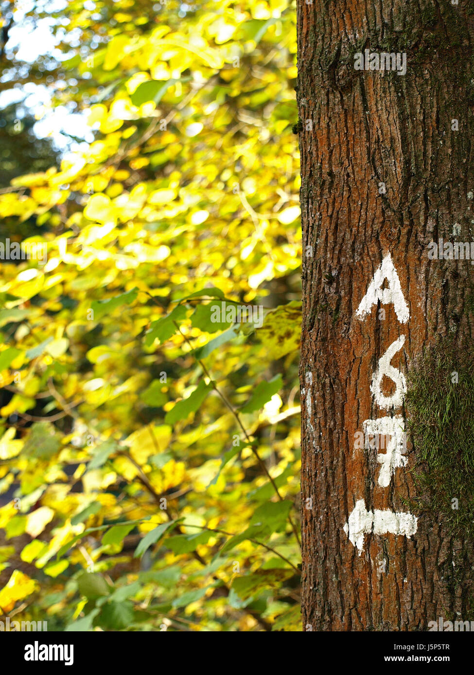 Feeder road hi-res stock photography and images - Alamy