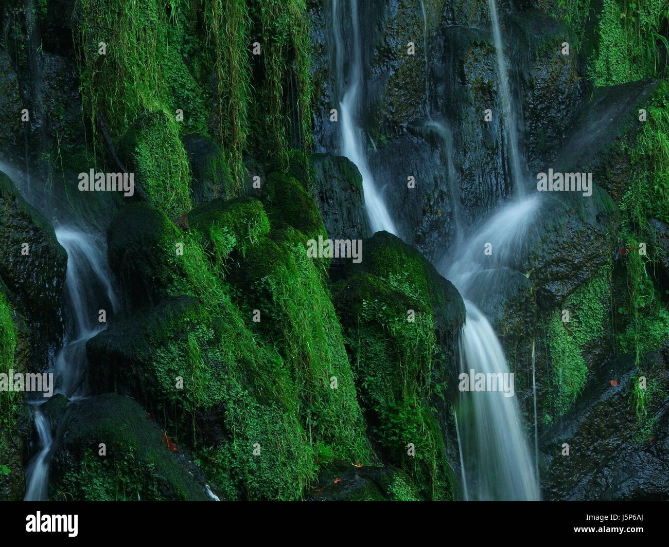 ice cold shower Stock Photo - Alamy