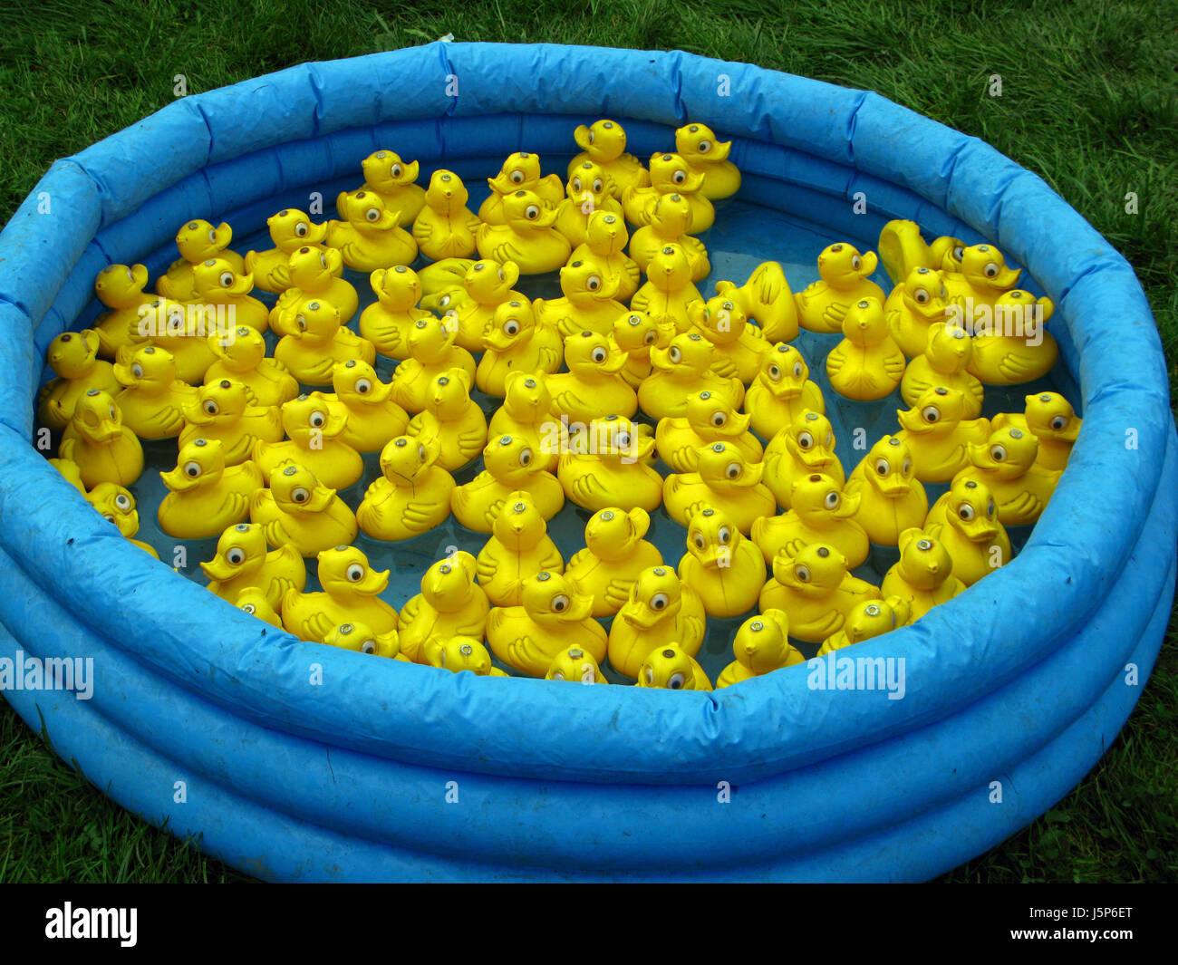 Billiards duck hi-res stock photography and images - Alamy