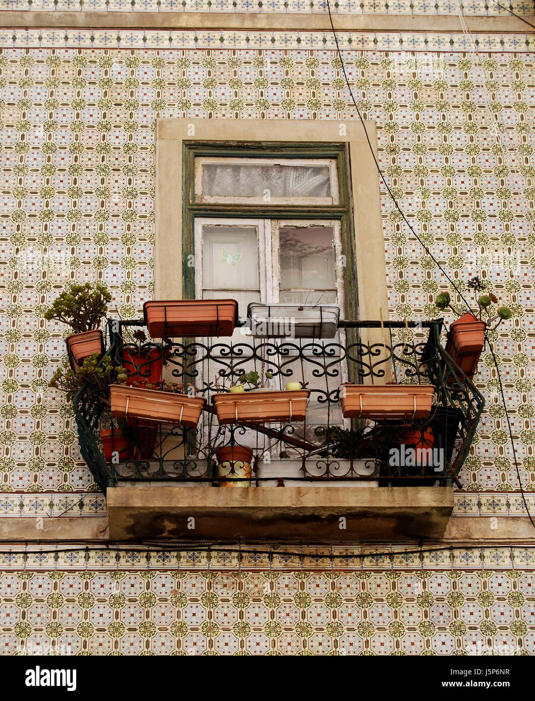 house building home dwelling house residential building flow plant ...