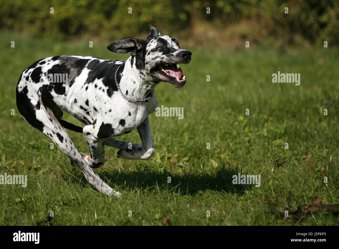 motion postponement moving movement game tournament play playing plays ...