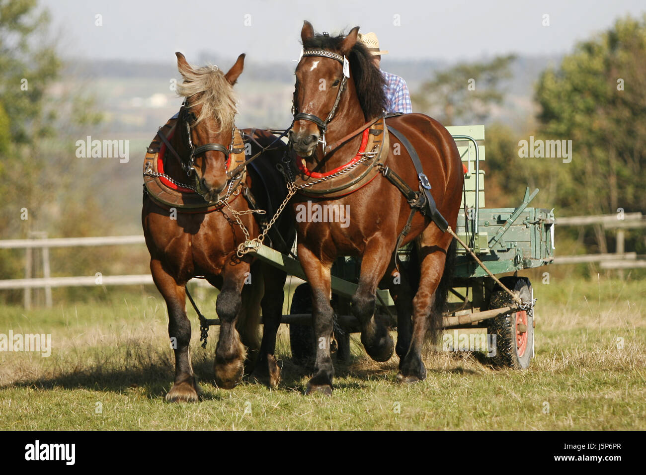 railway locomotive train engine rolling stock vehicle means of travel ...