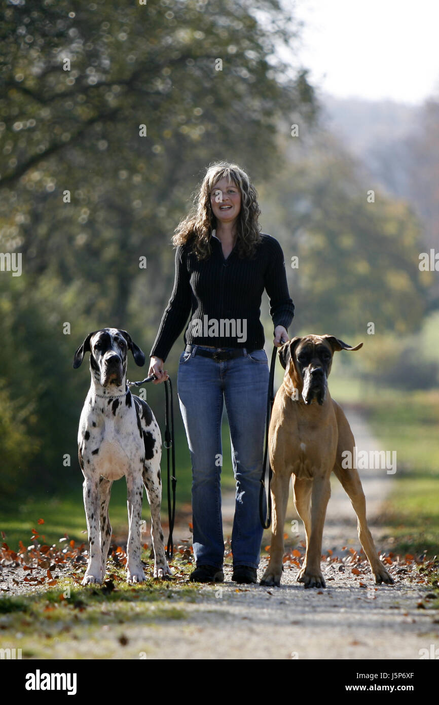 woman wait waiting laugh laughs laughing twit giggle smile smiling ...