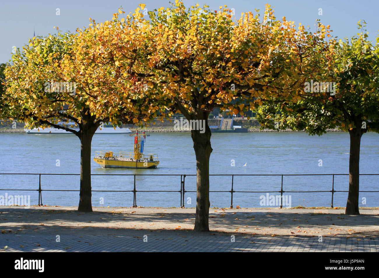 blue tree trees flow shine shines bright lucent light serene luminous ...