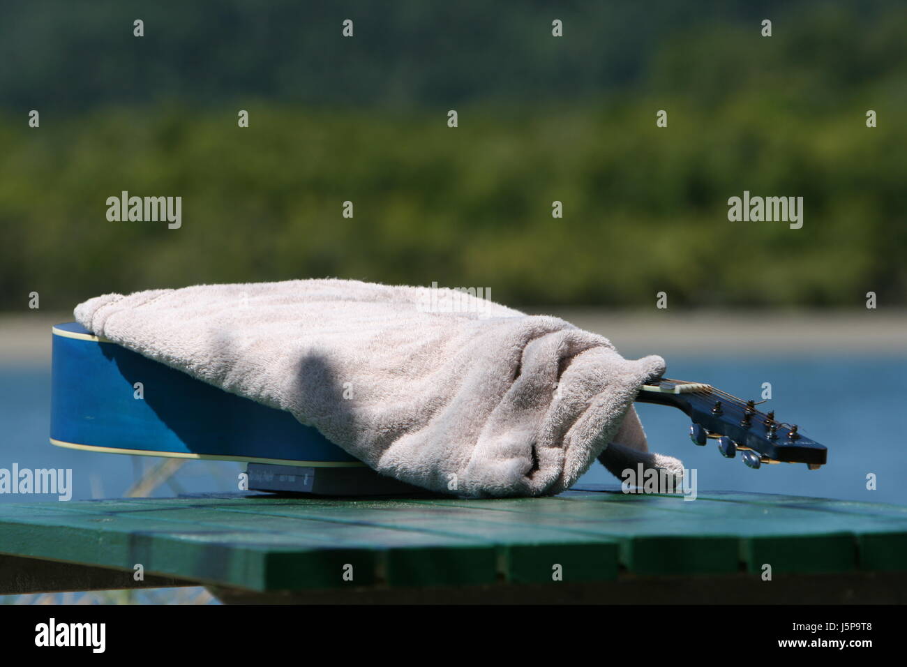 blue music make music musical instrument green protect protection ...