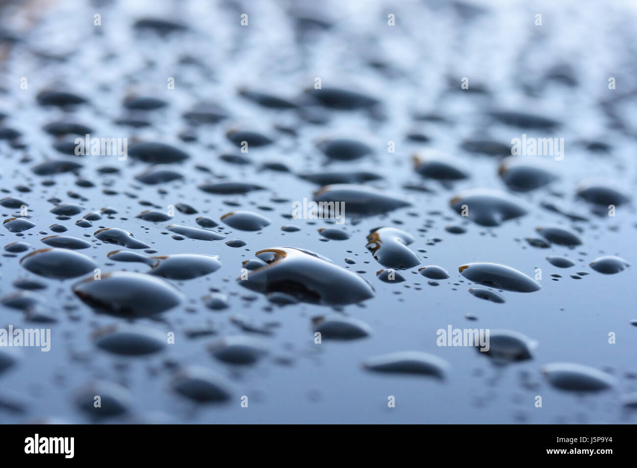 blue raindrop reflection mirroring shower harmony crown powerful symbol ...