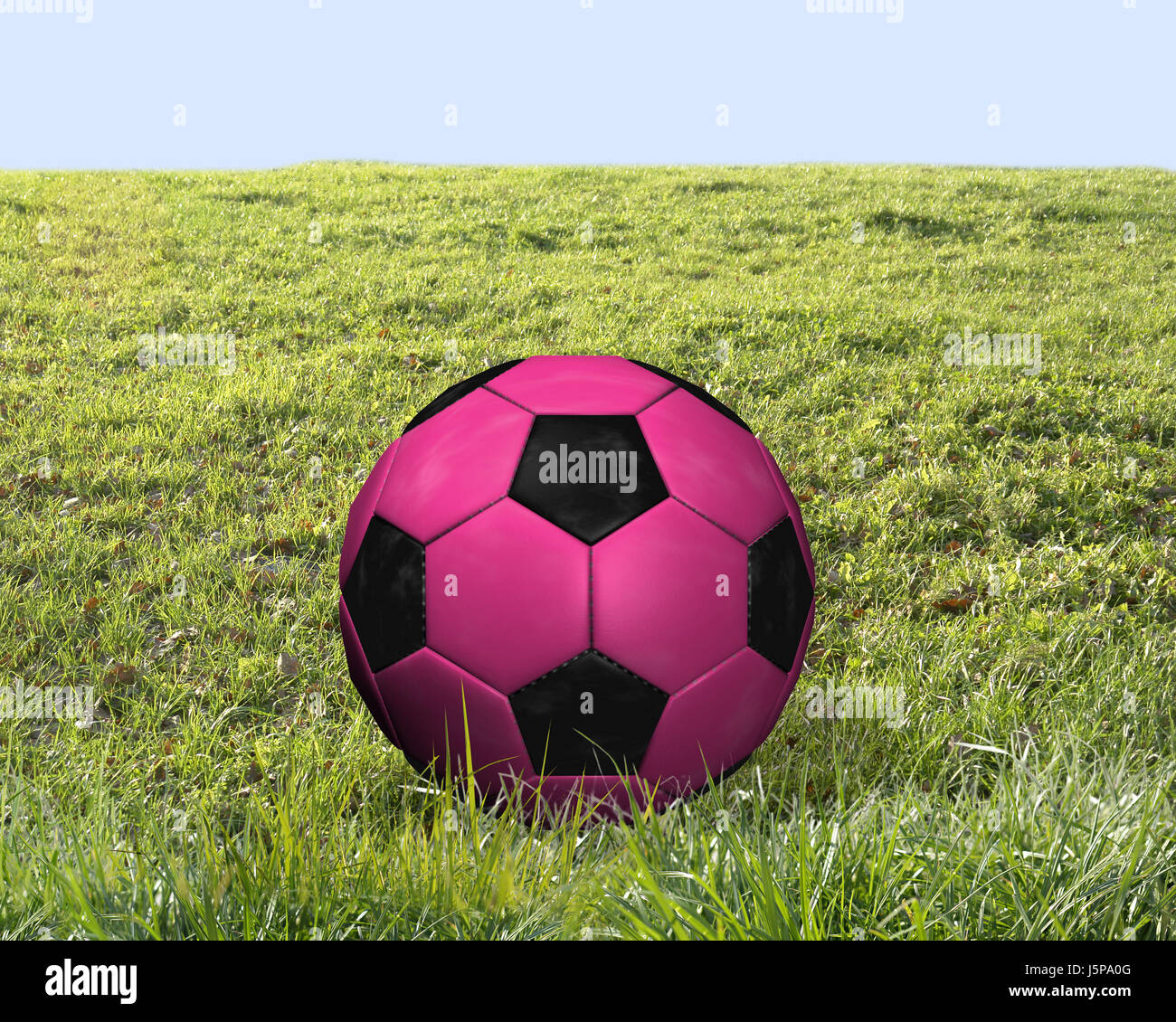 magenta ball game complete perfect sport sports soccer football meadow ...