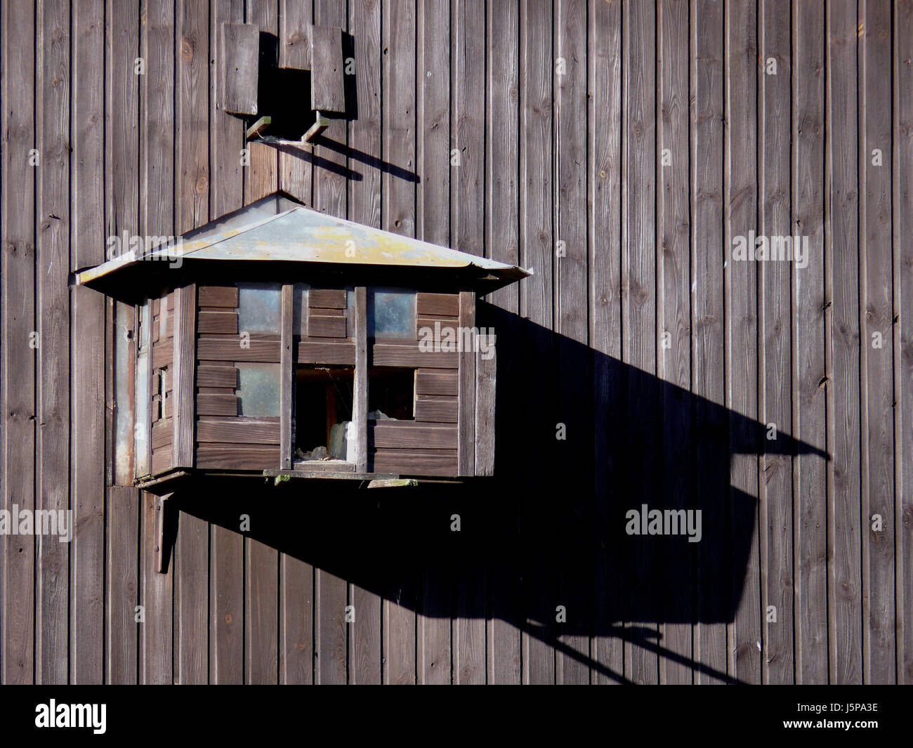 shine shines bright lucent light serene luminous bird wood birds facade ...