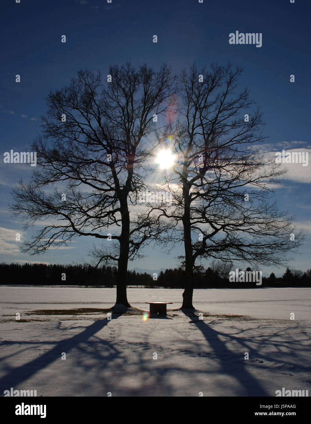 Inseparable couple hi-res stock photography and images - Alamy