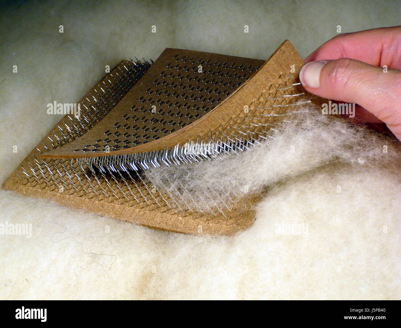 Wool teasel hi-res stock photography and images - Alamy