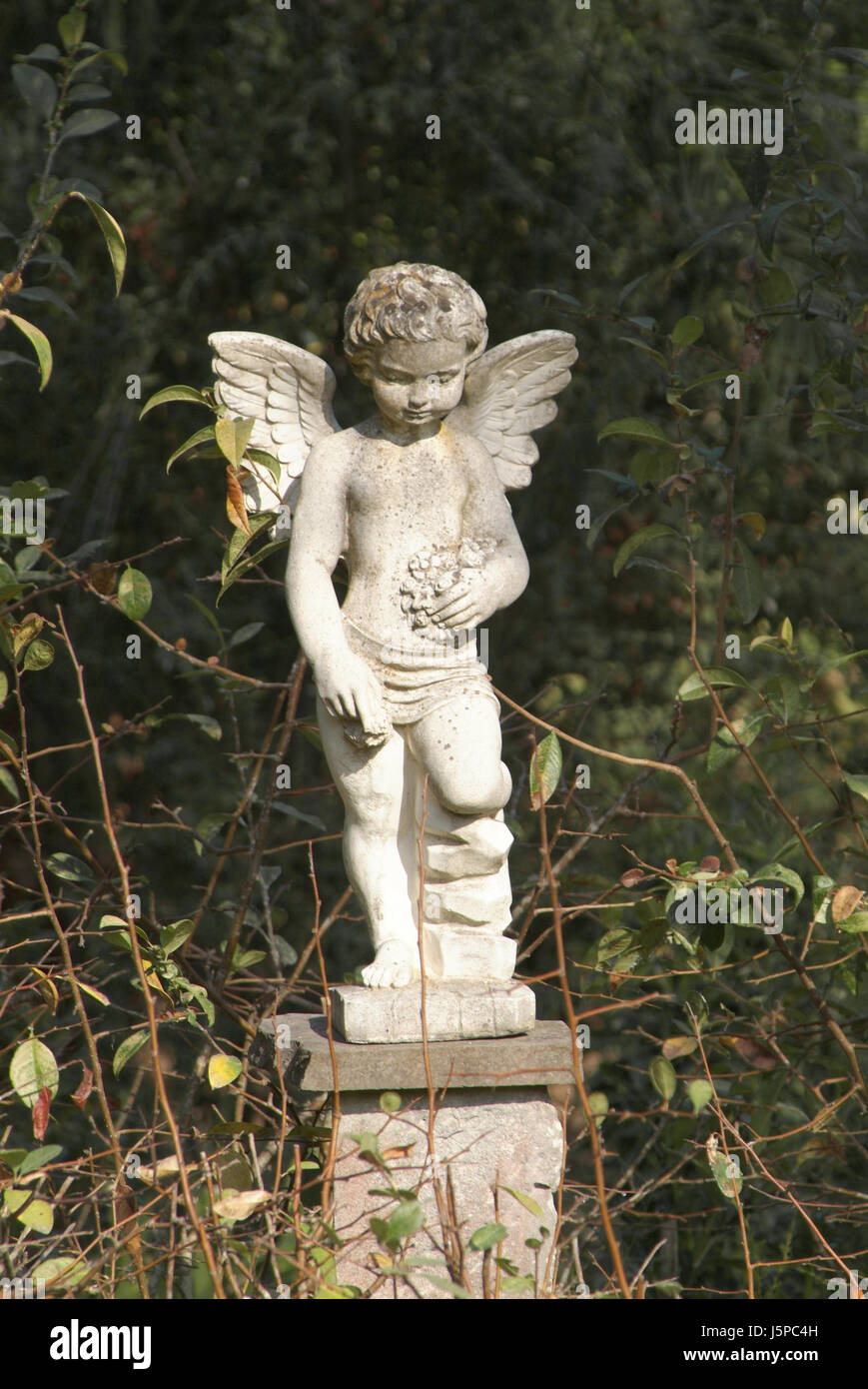 Tomb angels hi-res stock photography and images - Alamy